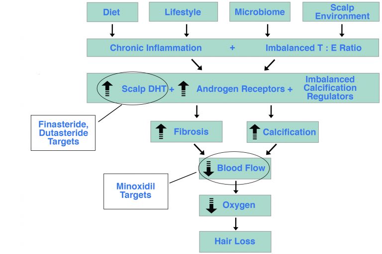 The Ultimate Hair Loss Flowchart: Why We Lose Our Hair