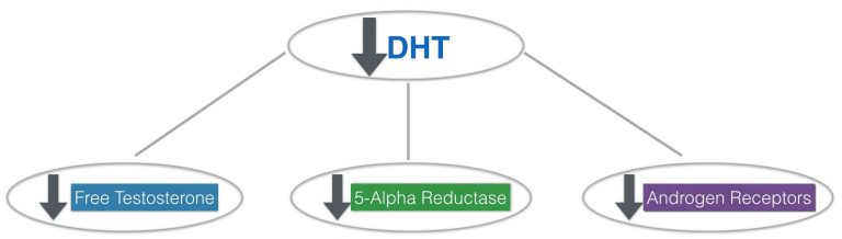 Attacking DHT: A Guide To Inhibiting 5-Alpha Reductase For Hair Loss