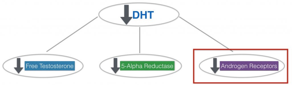 Attack DHT: A Master Guide To Blocking Androgen Receptors (Hair Loss)