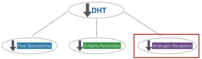 Attack DHT: A Master Guide To Blocking Androgen Receptors (Hair Loss)