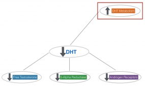 Attack DHT: A Master Guide To Increasing DHT Metabolism For Hair Loss
