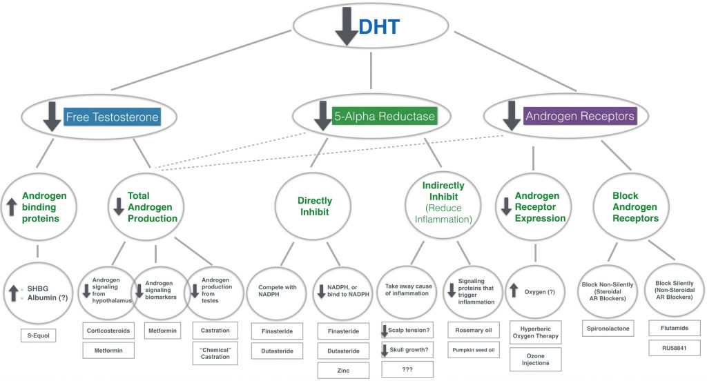Attack DHT: A Master Guide To Blocking Androgen Receptors (Hair Loss)