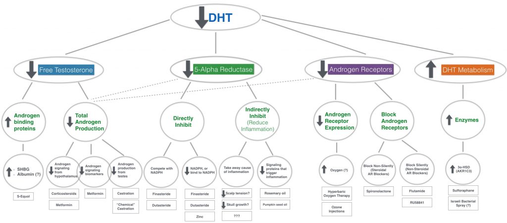 Attack DHT: A Master Guide To Increasing DHT Metabolism For Hair Loss