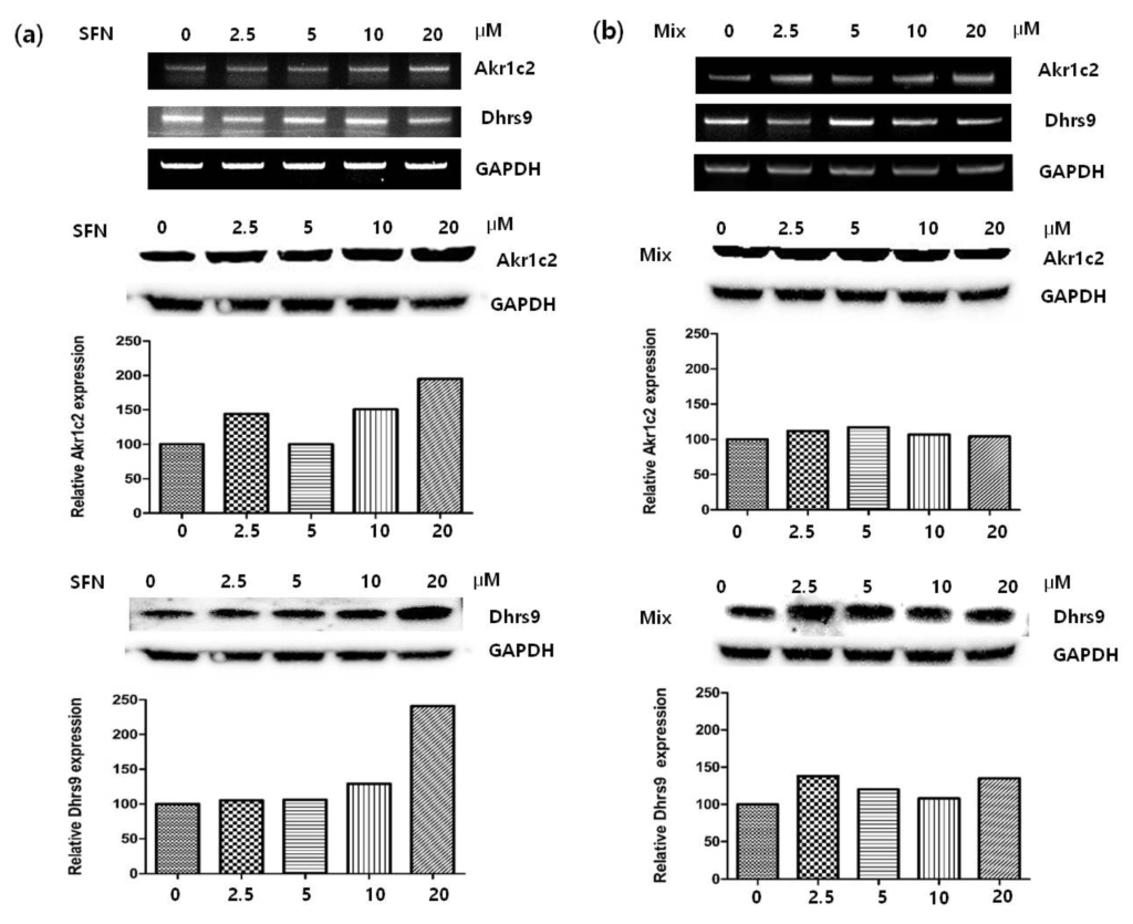 Sulforaphane For Hair Loss – Does It Live Up To The Hype? - Perfect ...